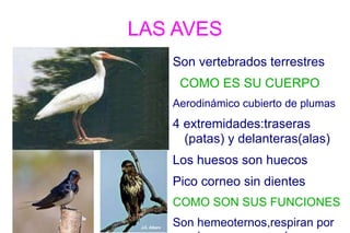 Trabajo de naturales grupo de 1ºB | PPT