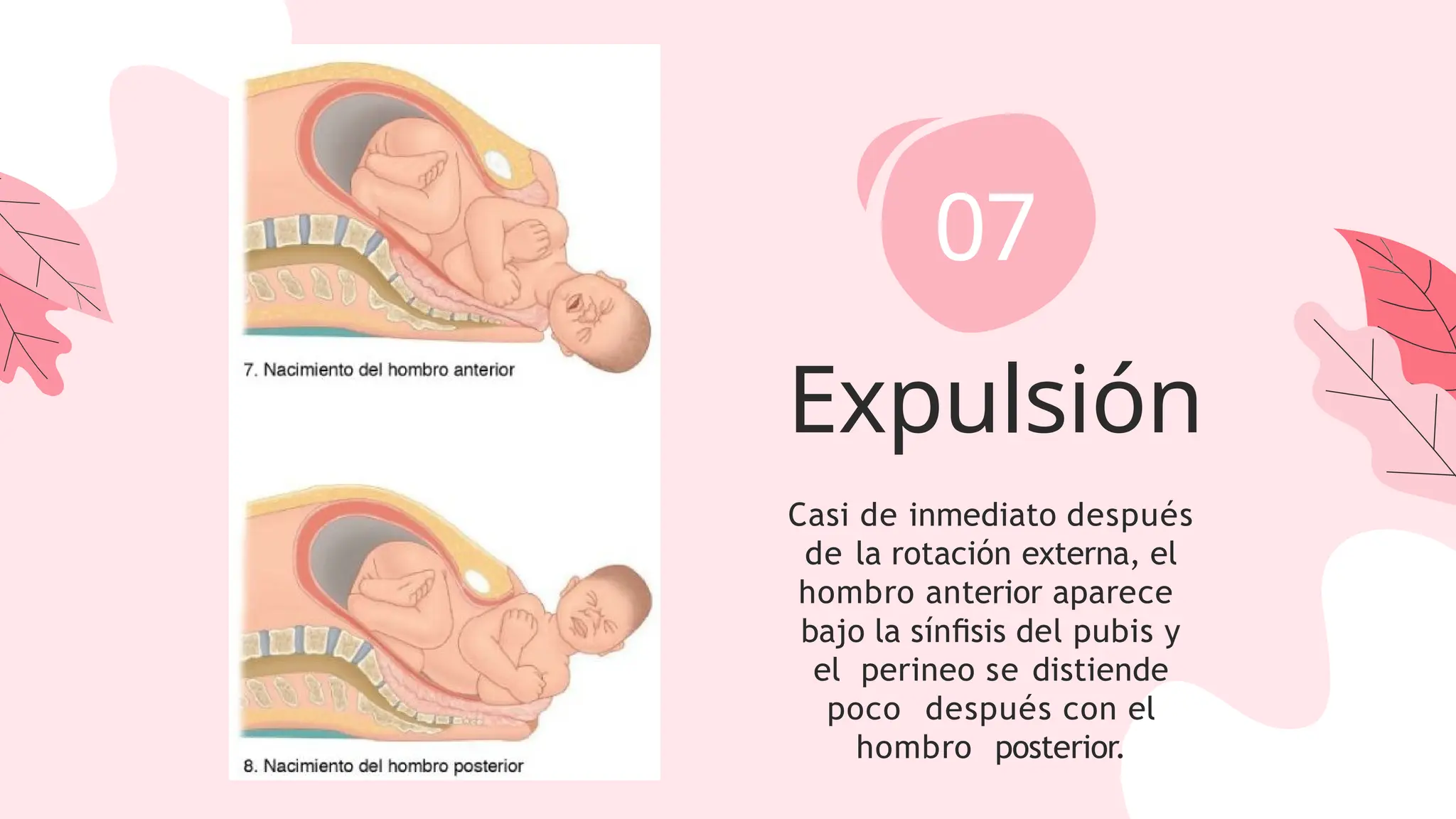 Presentación sobre Trabajo de parto .pptx