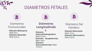 Explicación del proceso de trabajo de parto | PPTX