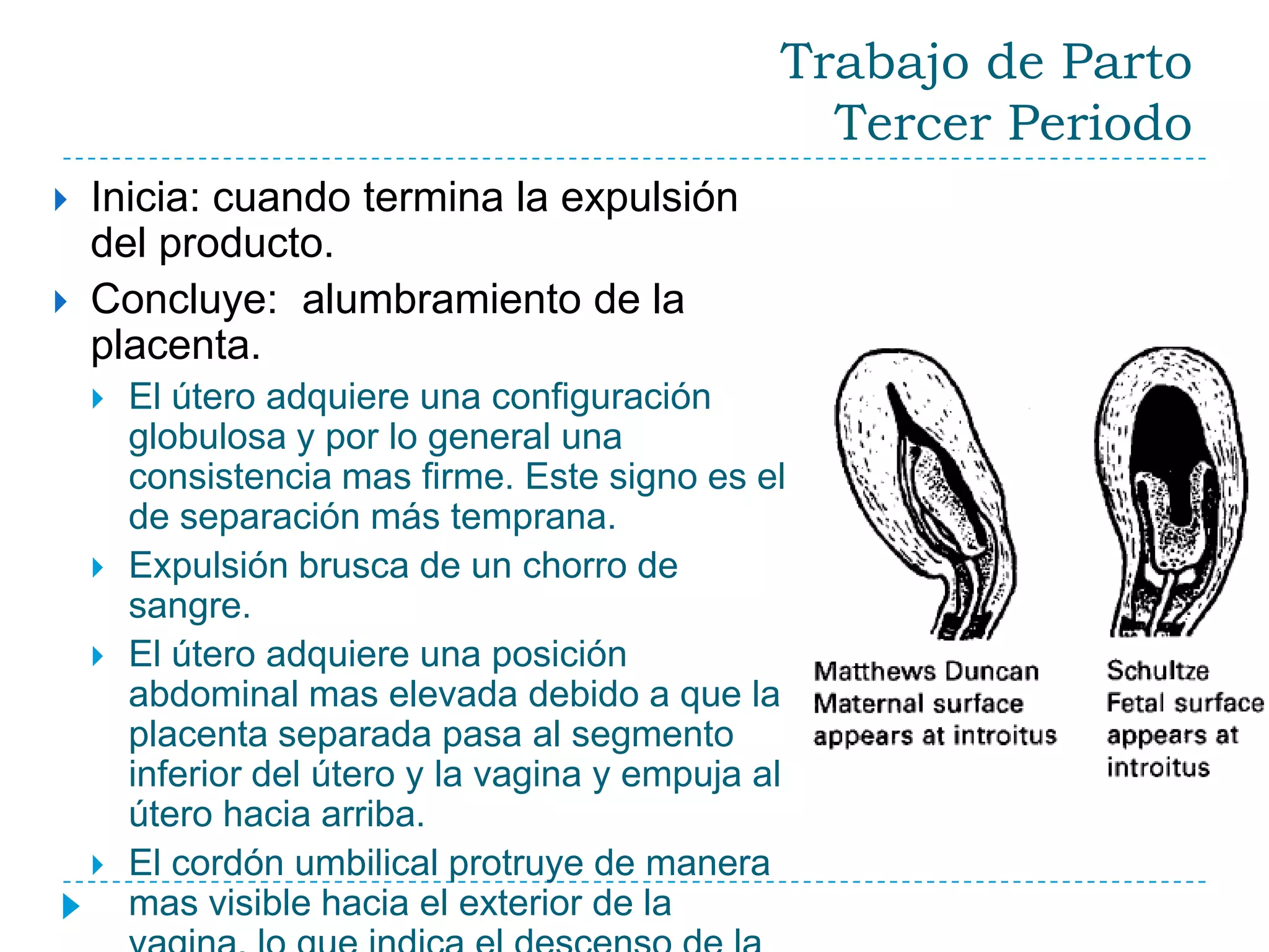 Trabajo de parto | PPT