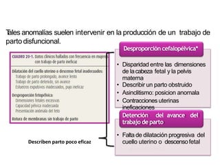 Trabajo de parto anomalo obstetricia | PPTX