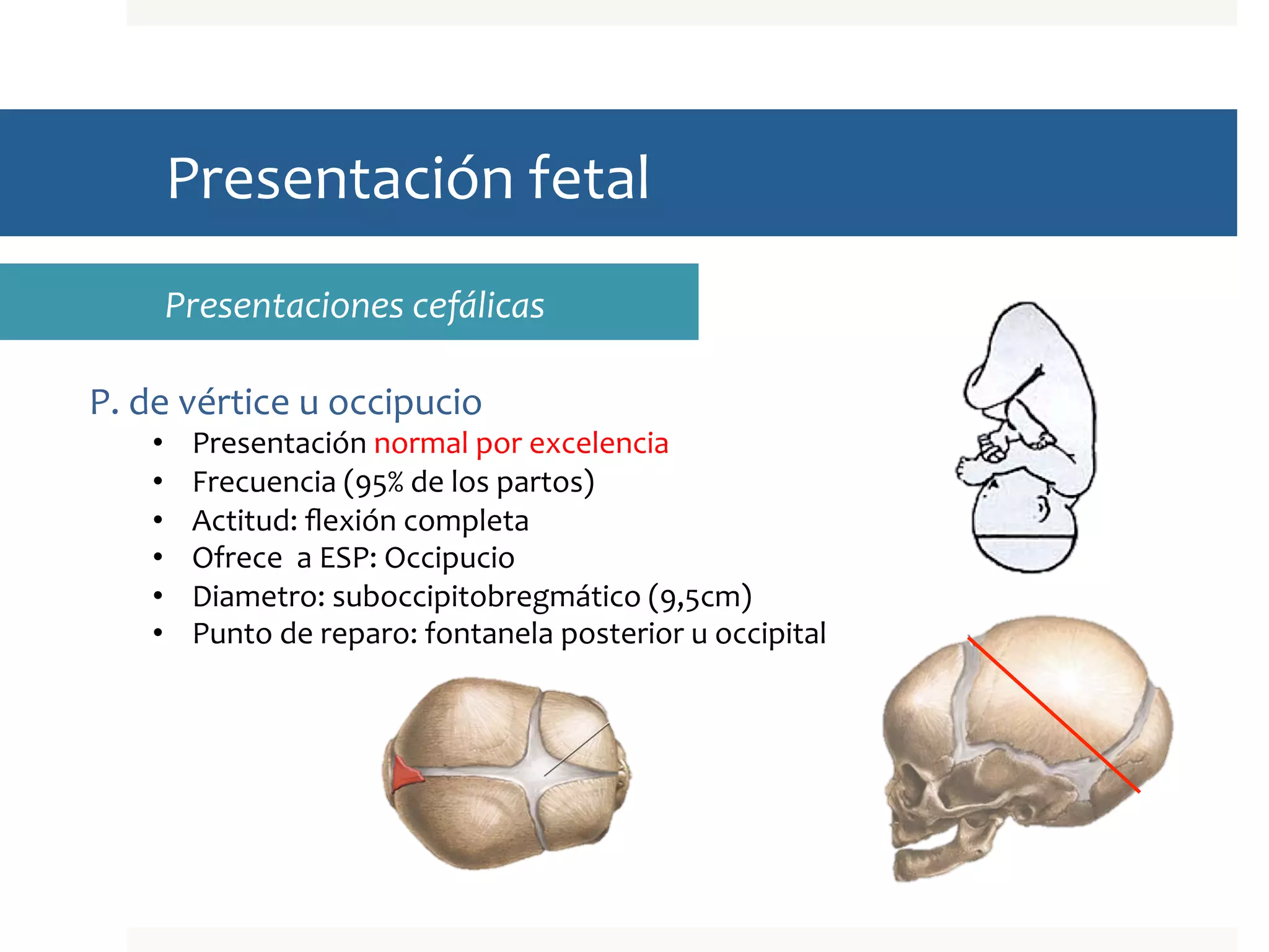 Trabajo de parto fisiologico | PDF