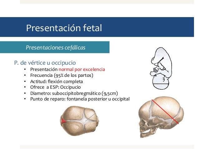 Trabajo de parto fisiologico