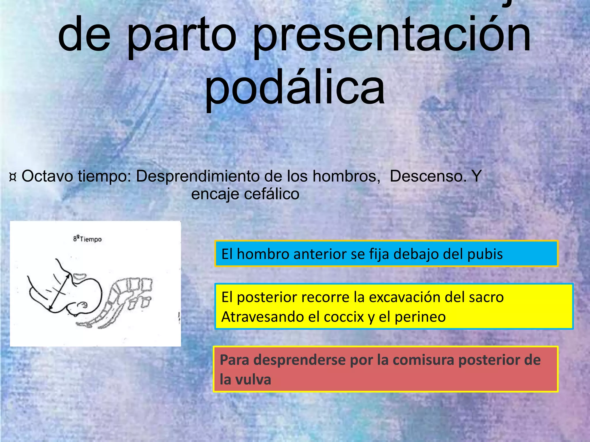Trabajo De Parto Y Mecanismo De Trabajo De Parto Ppt