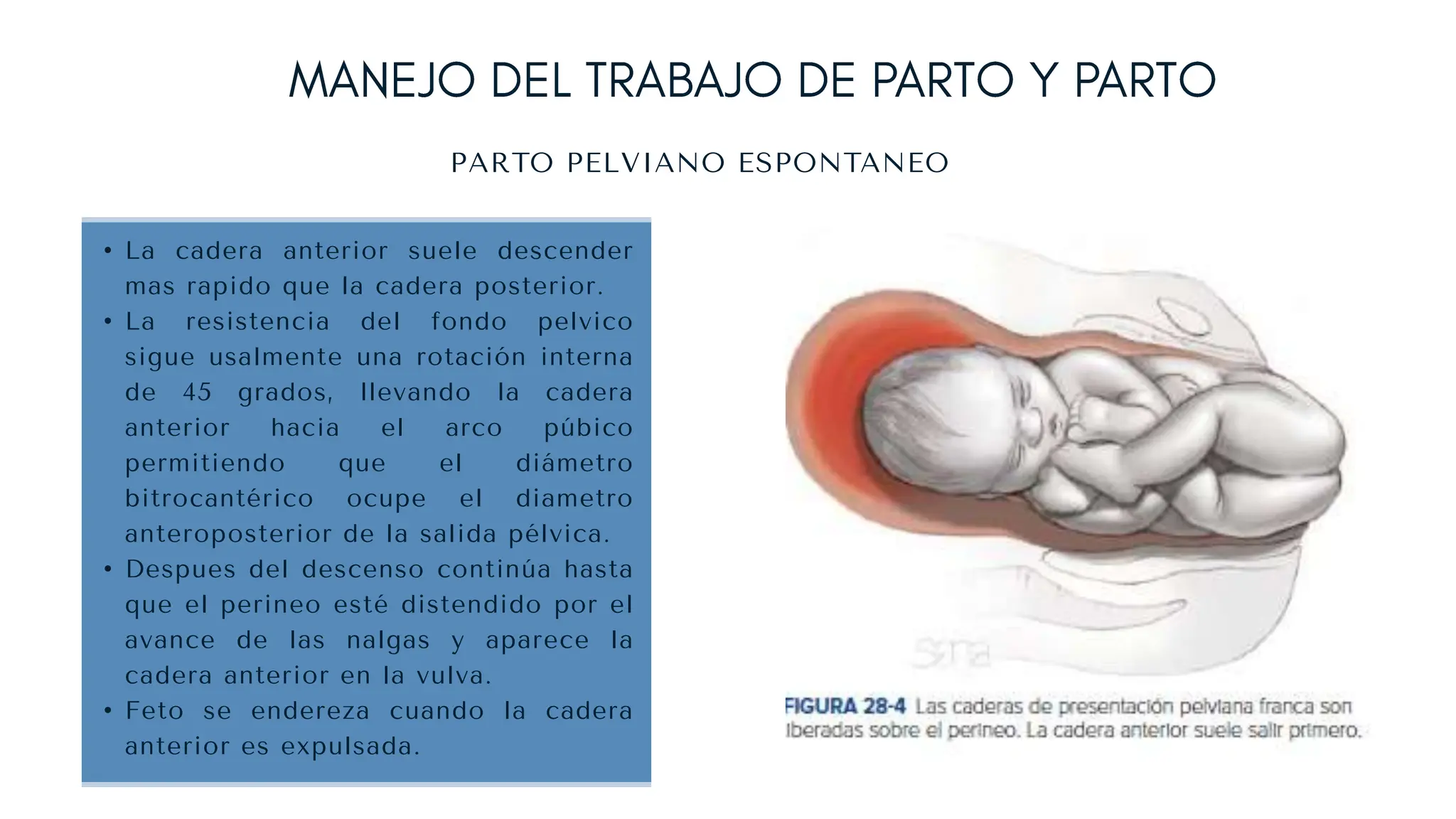 atencion del parto pelviano en hospitales | PPTX