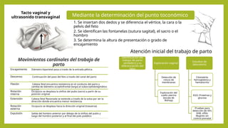 Trabajo de Parto ppt.pptx ginecologia ppt | PPTX