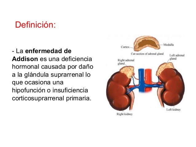 FORMACIÓN DE LA ORINA POR LOS RIÑONES: REABSORCIÓN Y SECRECIÓN TUBULAR ...