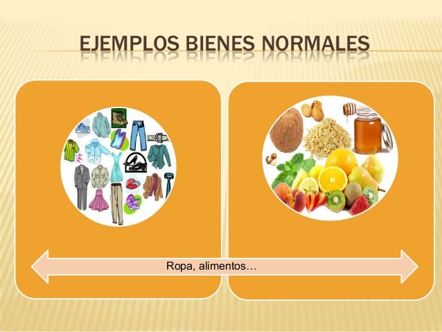 TIPOS DE BIENES