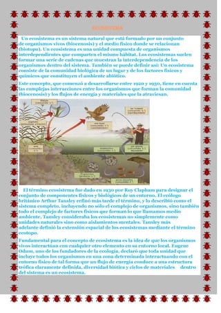 ecosistema | DOCX