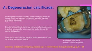 Enfermedades de la pulpa dental y enfermedades de los tejidos ...