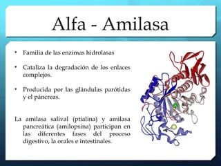 Bioquimica de la Saliva | PPT