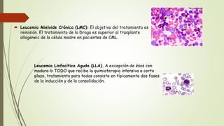Leucemia | PPTX