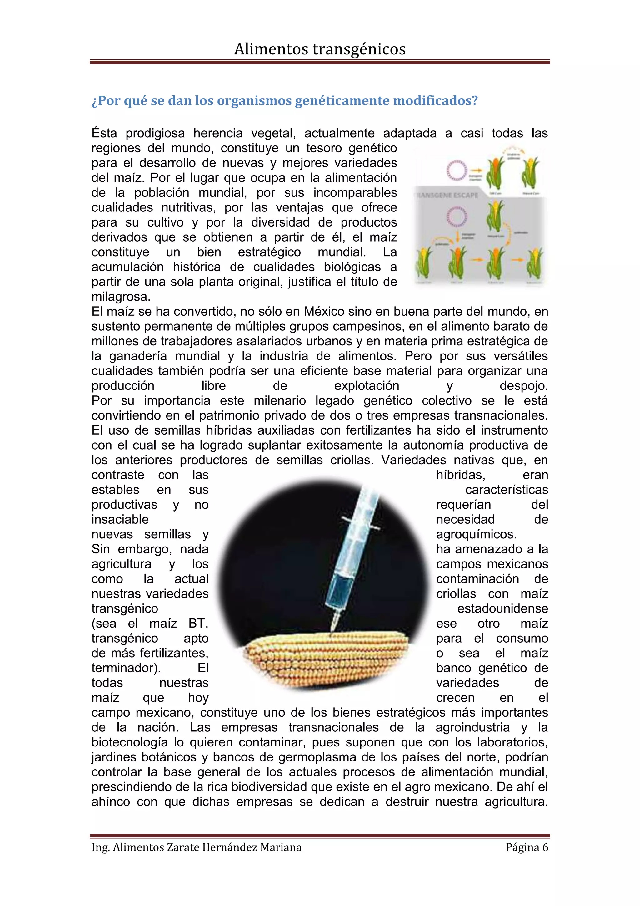 alimentos transgenicos | PDF