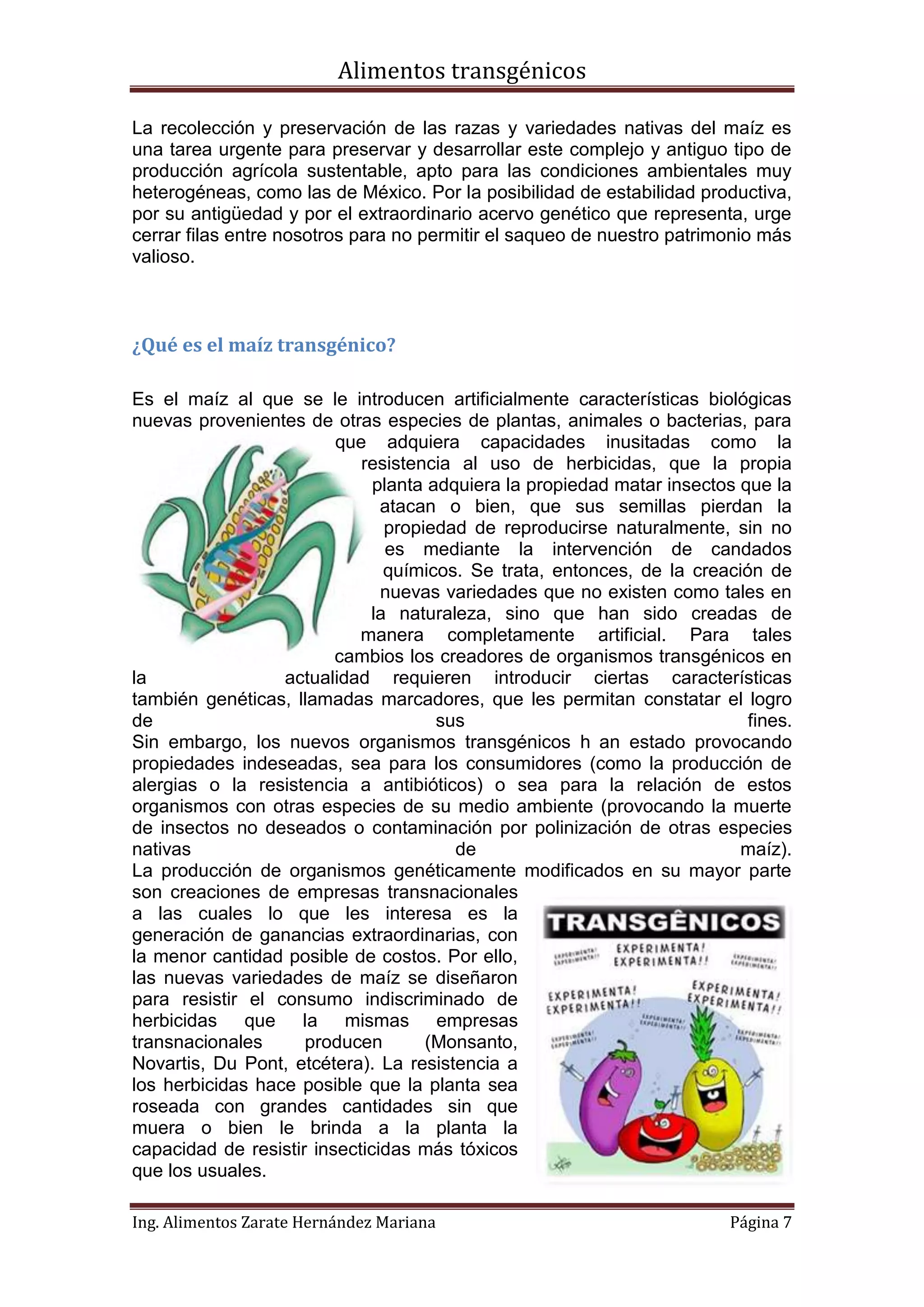 alimentos transgenicos | PDF