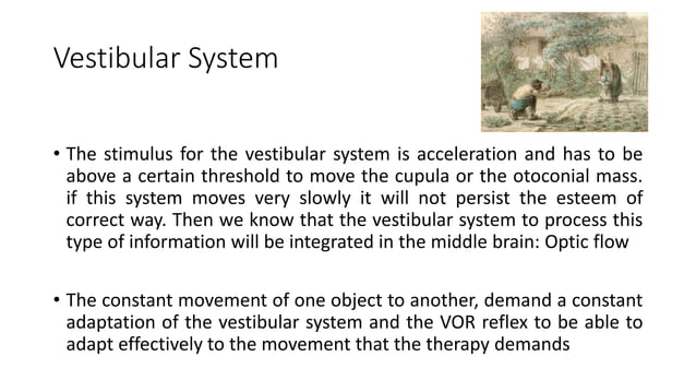 Final Project: Understanding The Brain: The Neurobiology of Every Life ...