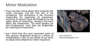 Final Project: Understanding The Brain: The Neurobiology of Every Life ...