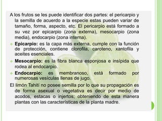 Trabajo final poscosecha | PPTX | Agriculture | Industries