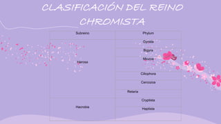 Reino Protista y Reino Chromista | PPTX