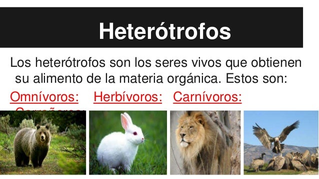 Trabajo integrador (naturales)