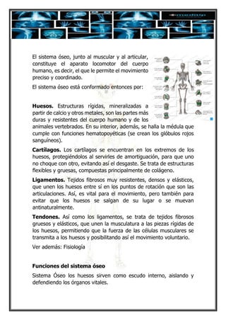 trabajo investigativo Anatomía y Fisiología Sistema Óseo | PDF
