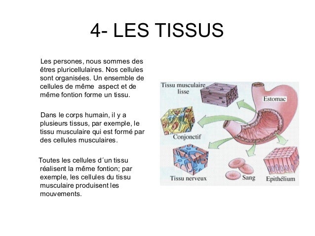 Trabajo javier y david