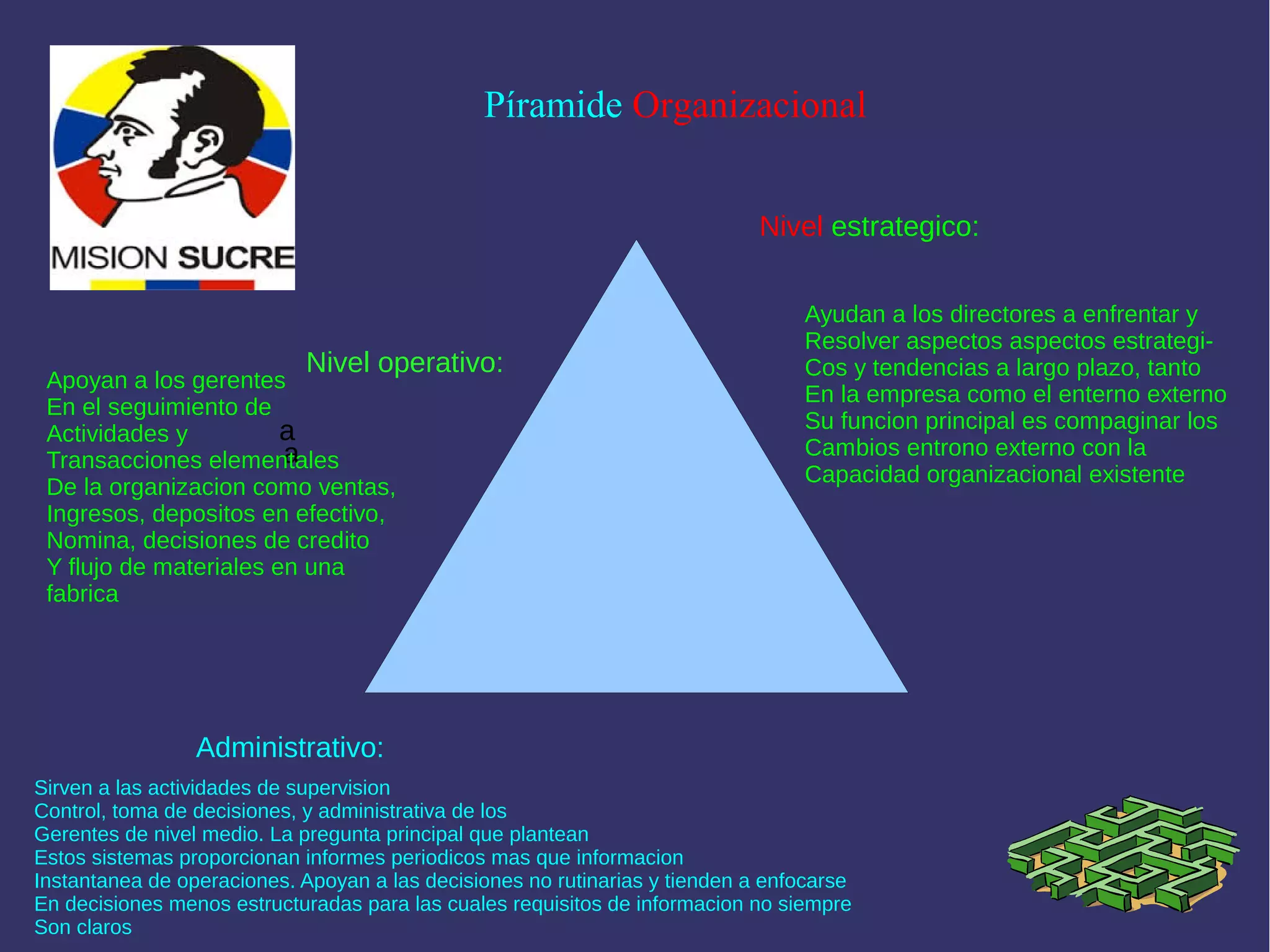 Piramide Organizacional | ODP