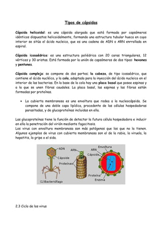 los microorganismos | DOC