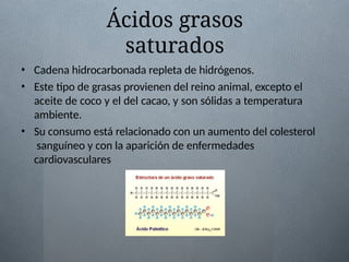 TRABAJO LIPIDOS grasas y metabolismo NUTRICIÓN.pptx
