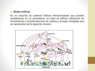 Trabajo del Ecosistema (profesora Mayira Bravo) | PPTX