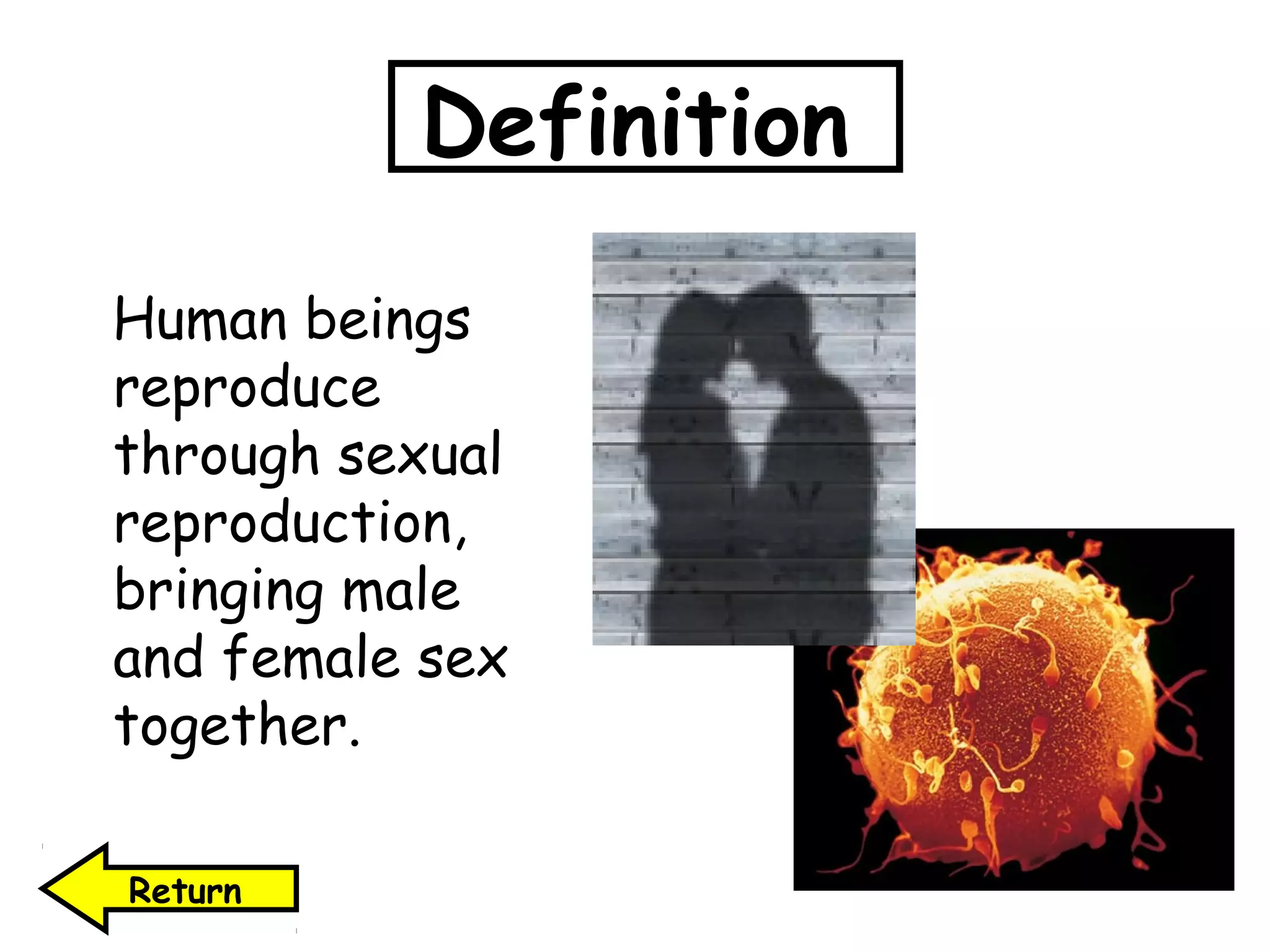 Human reproduction | PPT