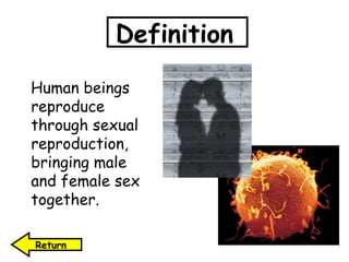 Human reproduction | PPT