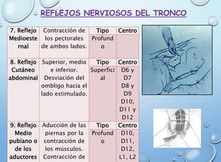 Reflejo Bulbocavernoso