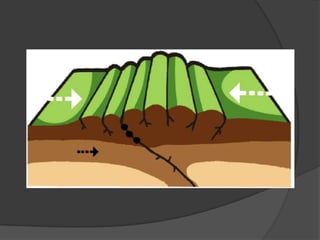 Trabajo naturales | PPT