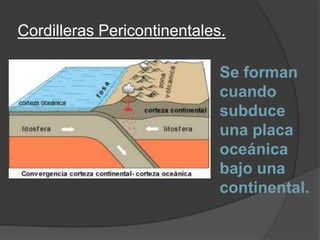 Trabajo naturales | PPT