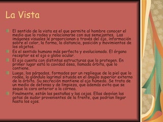 Trabajo Organos Delos Sentidos | PPT