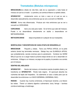 trematodos. | DOCX