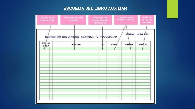 LIBROS AUXILIARES