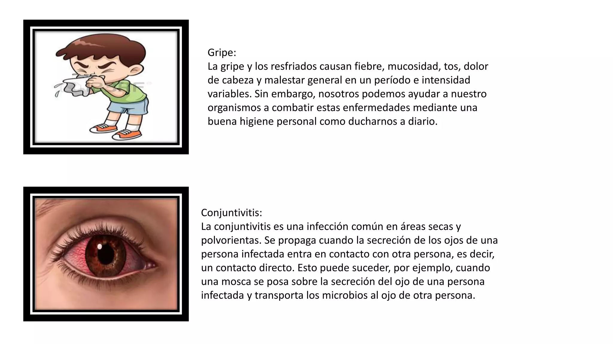 las enfermedades por la mala higiene personal | PPTX