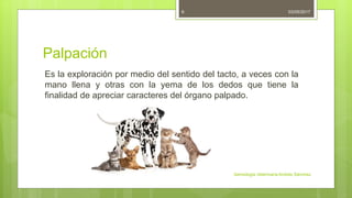 Medicina veterinaria Semiologia | PPTX