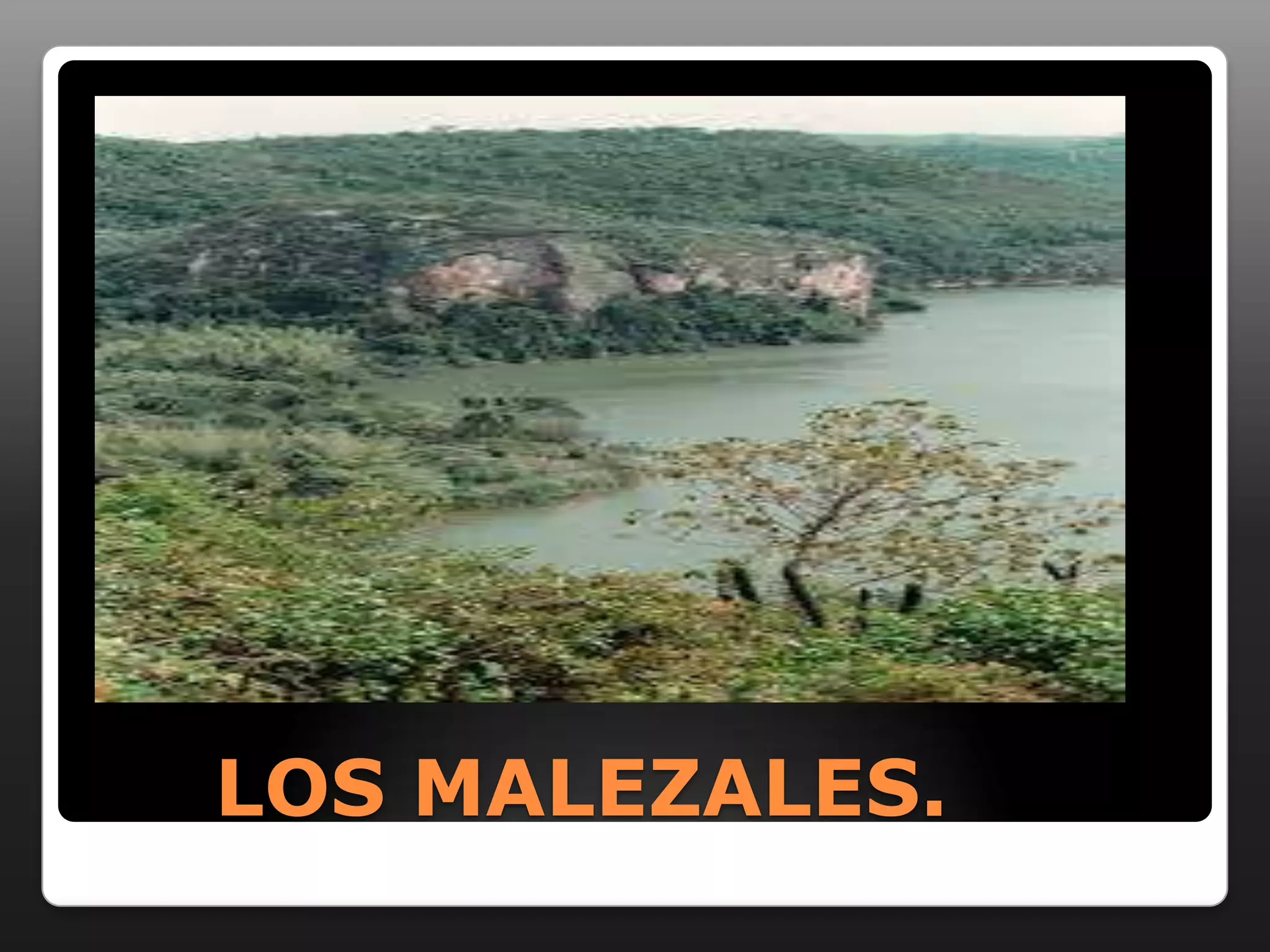 Trabajo practico de geografía provincia de corrientes. acosta celena | PPTX