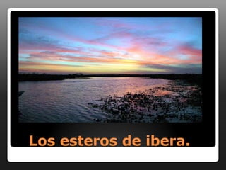 Trabajo practico de geografía provincia de corrientes. acosta celena | PPTX