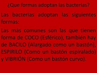Trabajo práctico cs. naturales | PPTX