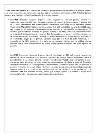 Trabajo práctico de genetica molecular | DOCX