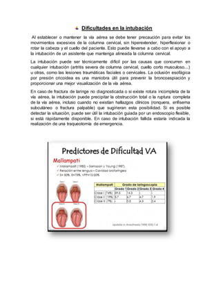 Trabajo principios de anestesia manejo de via aerea | DOCX