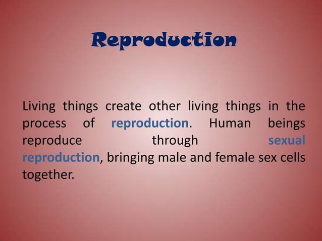 Human reproduction | PPT