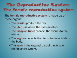 Human reproduction | PPSX