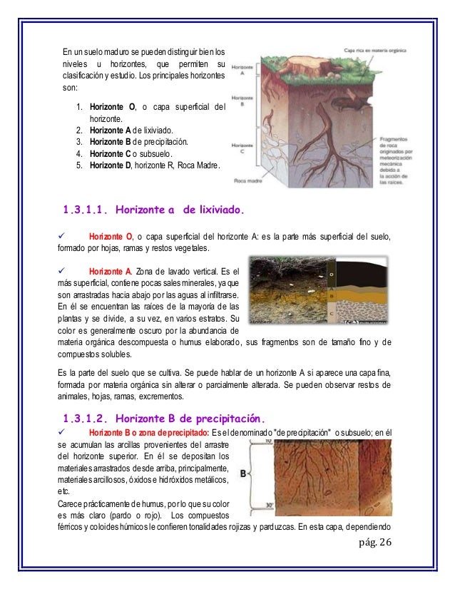 composicion del suelo