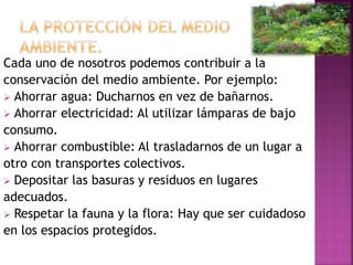 El impacto humano en el Medio Ambiente. Paula | PPT