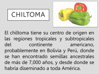 cultivos ecologicos.pptx