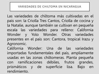 cultivos ecologicos.pptx